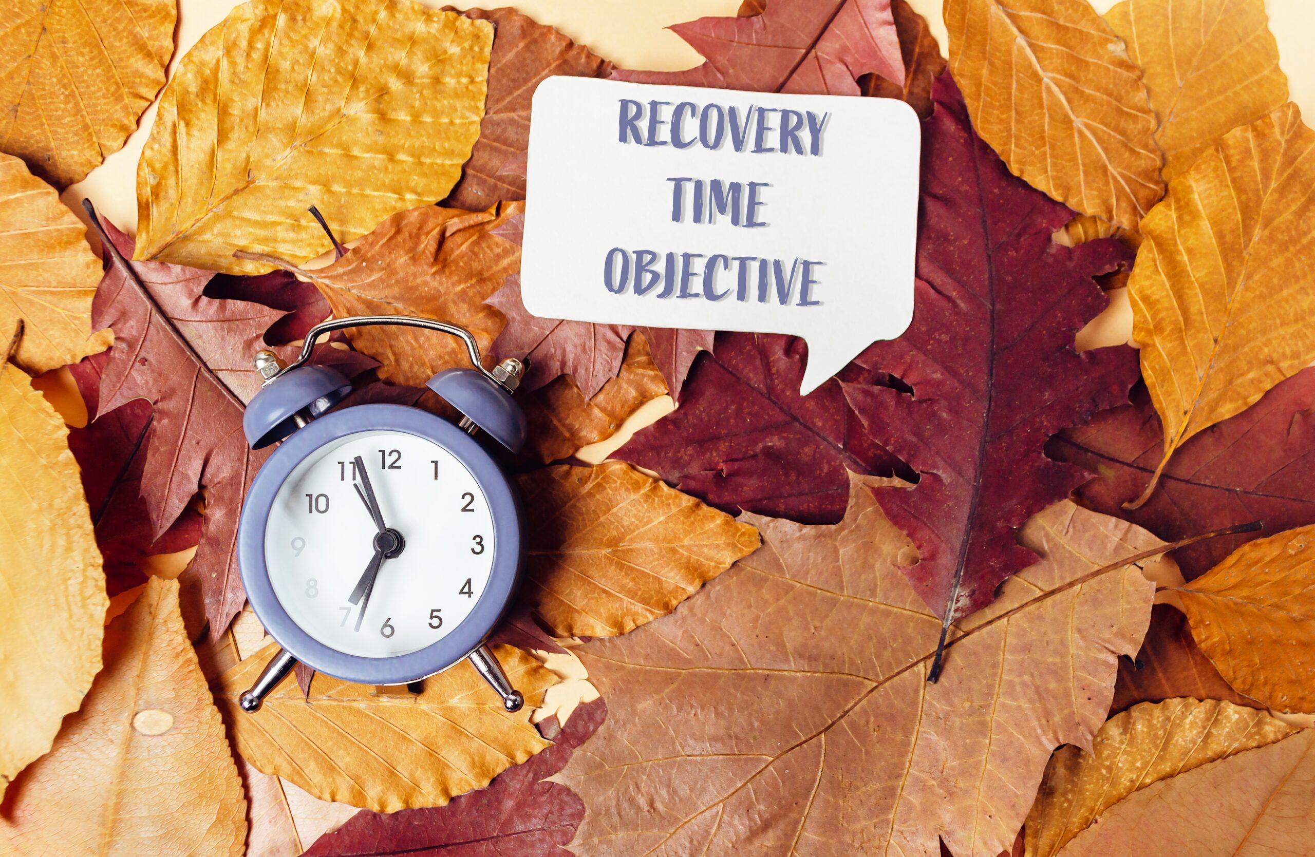 RTO and RPO Explained: What Small Businesses Actually Need to Know ...